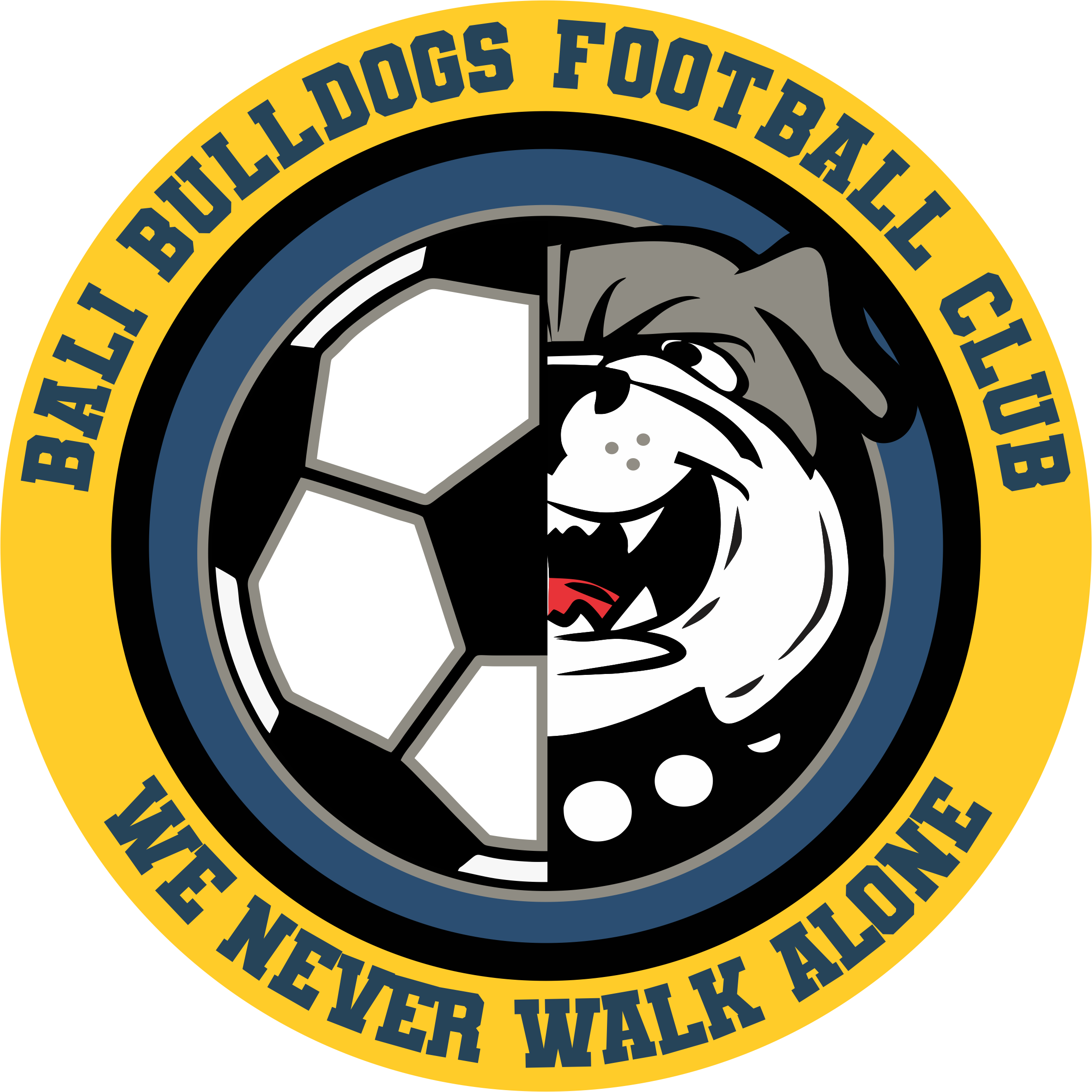 Adults – The Bulldogs club